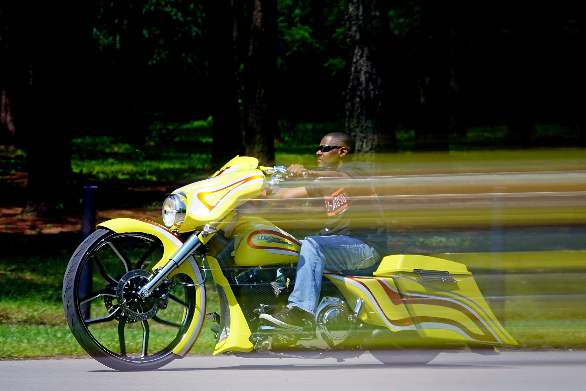 Yellow Magic | Shutterbug